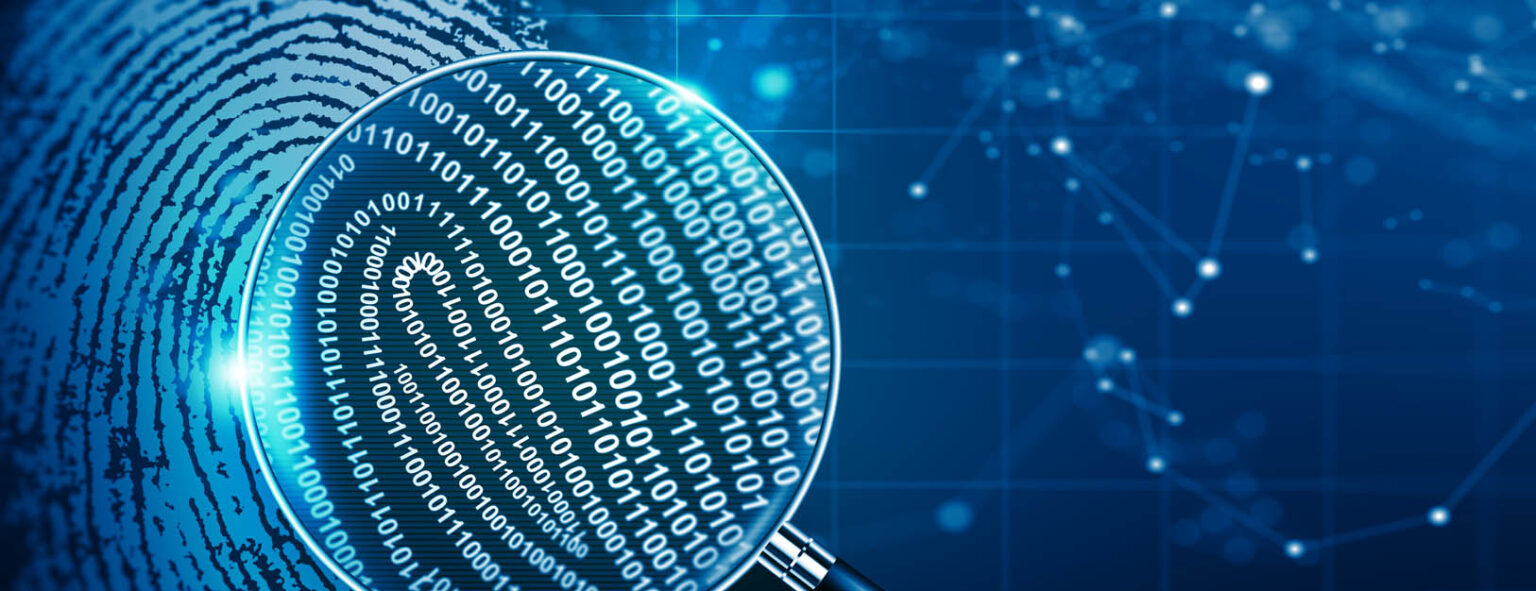 Online identity verification and the future of digital identity - Digid